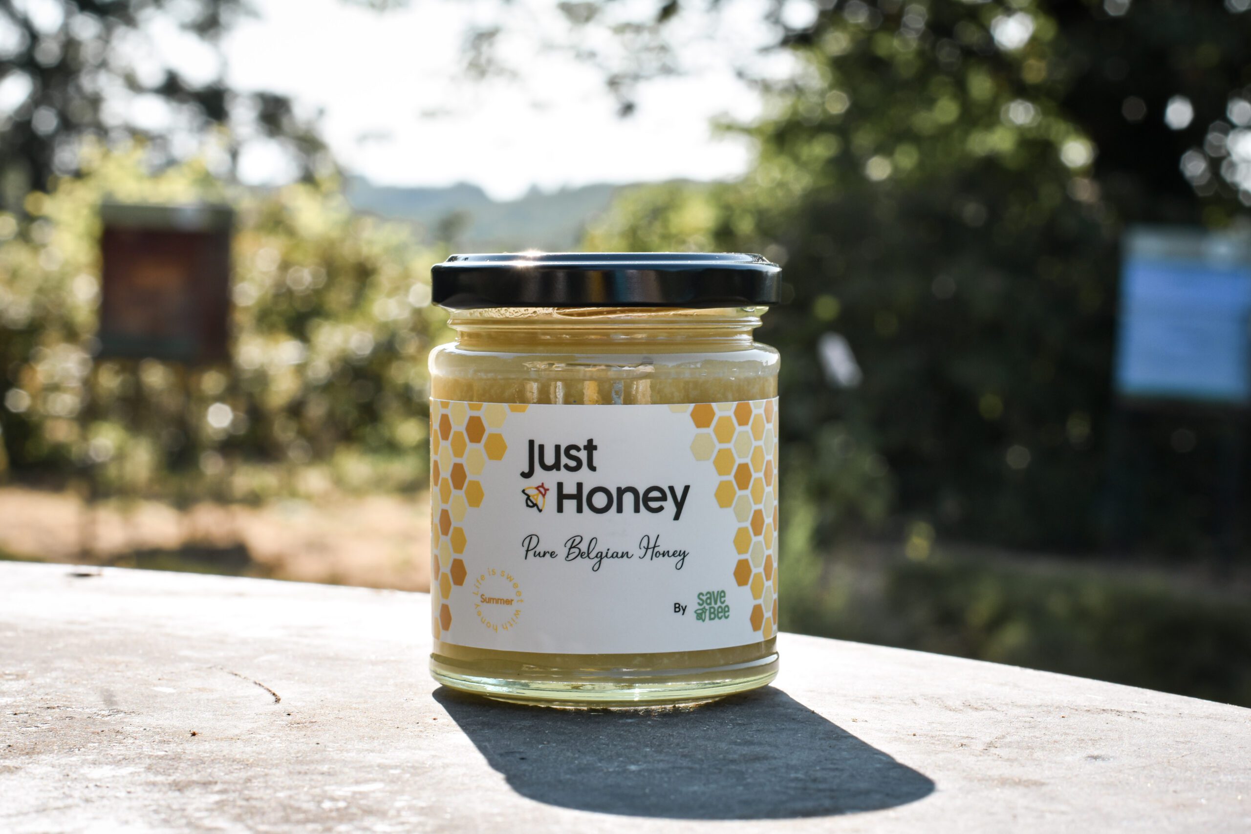 Miel local toutes fleurs,Miel "Summer" (Récolte d'été) - Save Bee